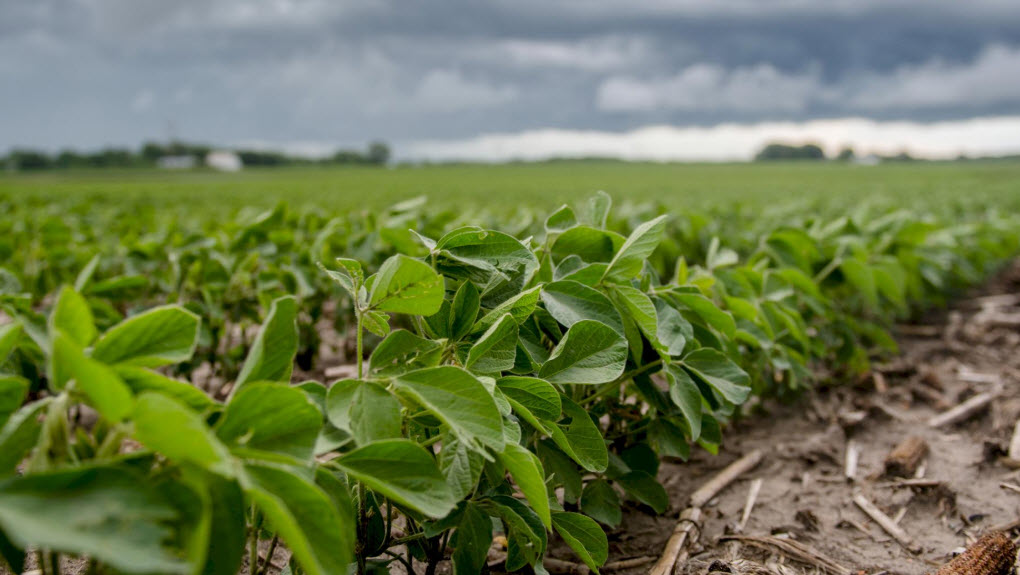 Weekly Futures Recap With Mike Seery - INO.com Trader's Blog